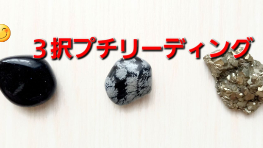 3択プチリーディング｜herbraffia｜coconalaブログ